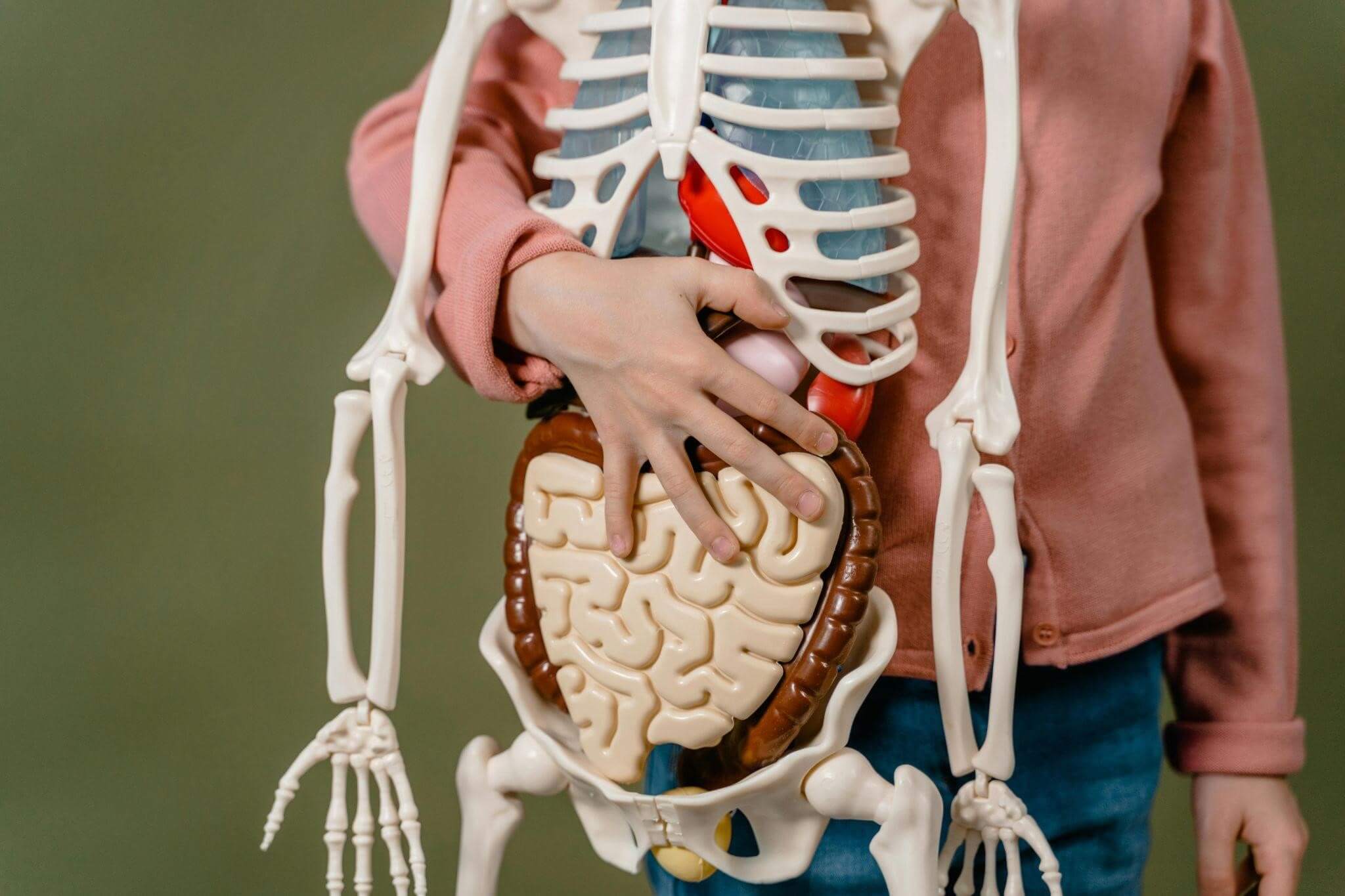 Body Parts Flashcards Guide For Early Childhood Learning